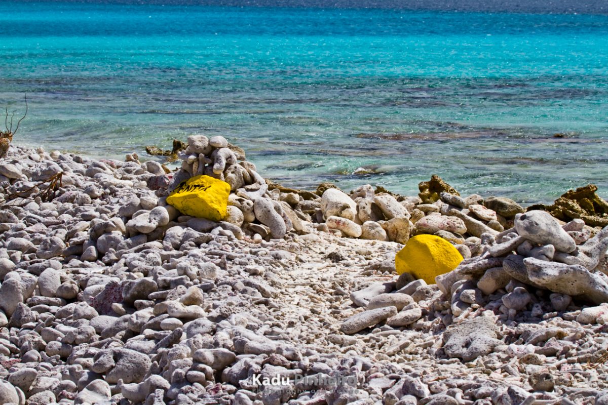 Ilha de Bonaire, Caribe – Sea Explorers